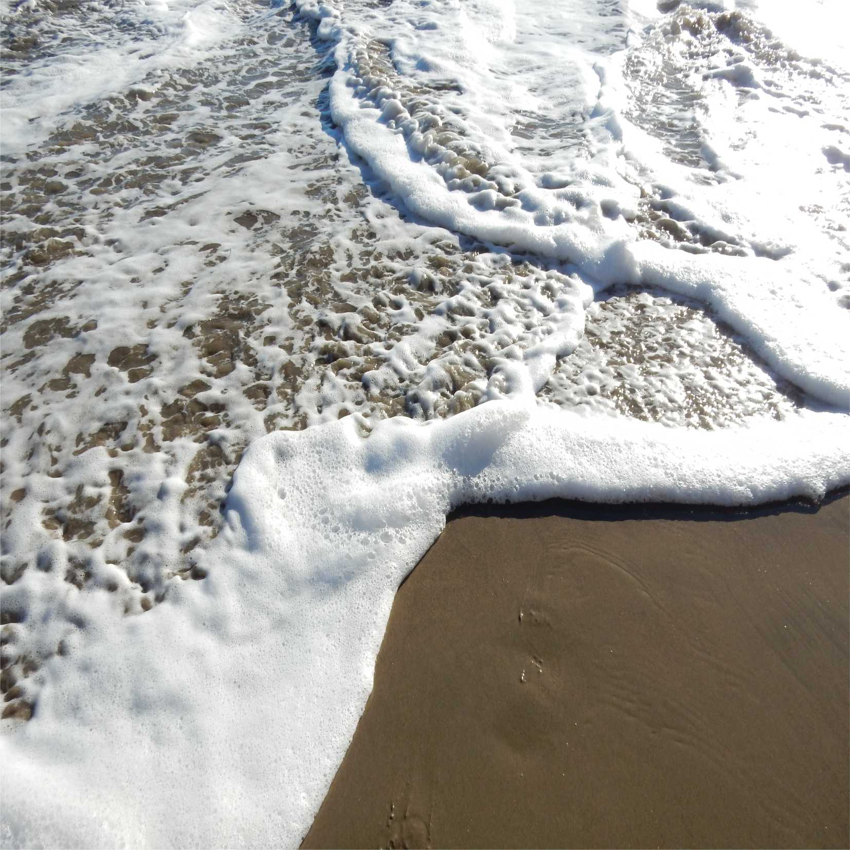 PC62 – Playa color – rootsdesign